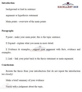 PEEL Essay怎么写？PEEL段落结构解析 PEEL Essay plan模板分享
